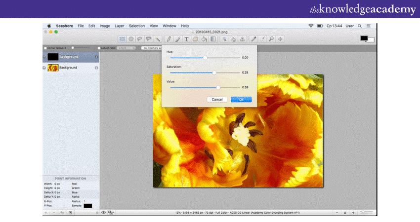 10+ Best GIMP Alternatives That You can USe